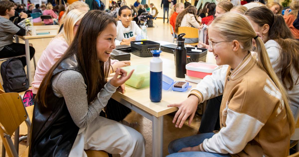 Geen mobieltje in de klas? Op deze Wierdense school doen ze dat al jaren | Wierden | tubantia.nl