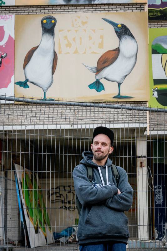 De vrolijke pinguïns van kunstenaar Peter Baca sieren ‘graffiti ...