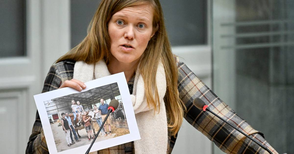 ANALYSE. De plotse exit van ‘leading lady’ Tinne Rombouts (44) in de ...