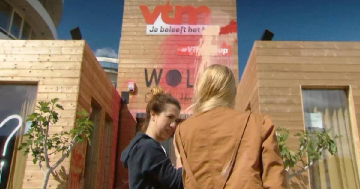 De stunt van Stefanie en Maël: Wolf volledig beklad met graffiti ...