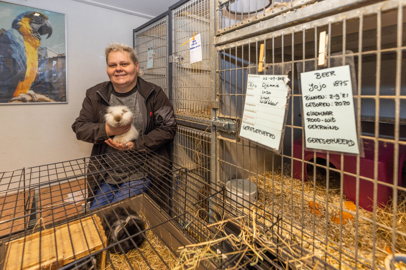 Triest verjaardagscadeau voor Flappus: tientallen verwaarloosde en ...