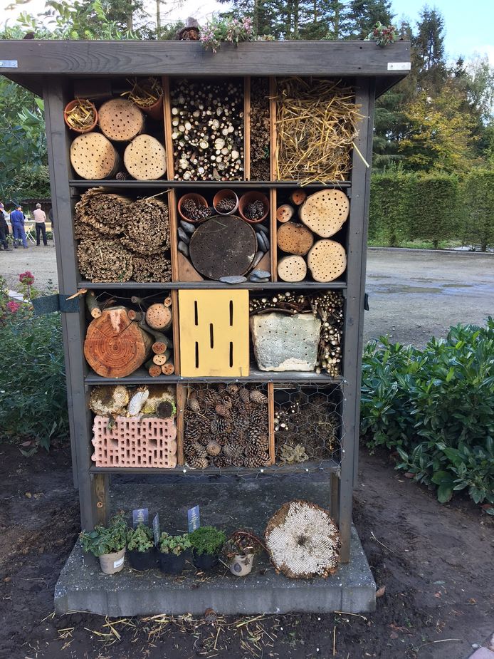 Open dag bij bijenhal op Landpark Assisië | Meierij | bd.nl