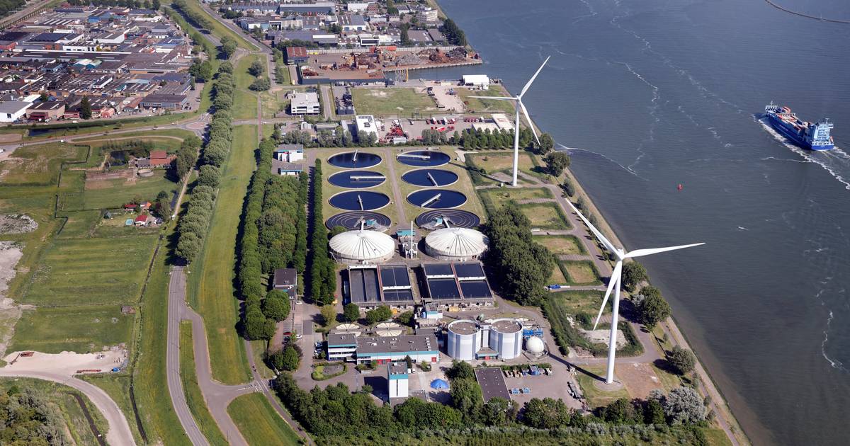 Zonder nieuwe afvalwaterzuivering heeft regio een groot probleem ...