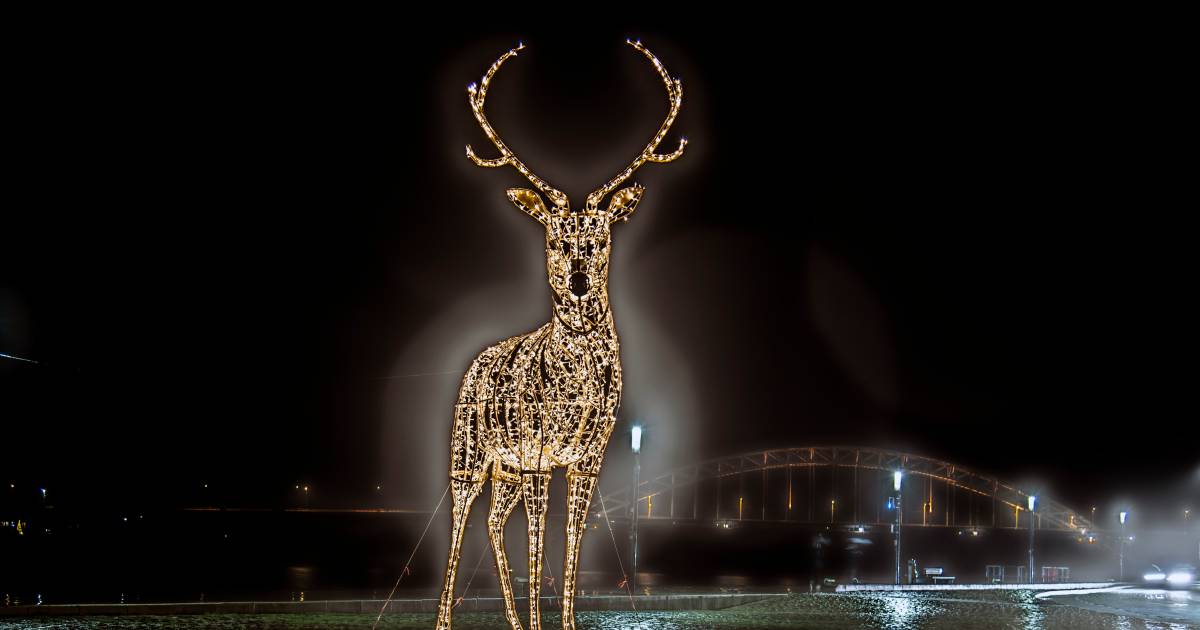 Groot verlicht hert op de Waalkade is lichtpuntje in de coronatijd ...