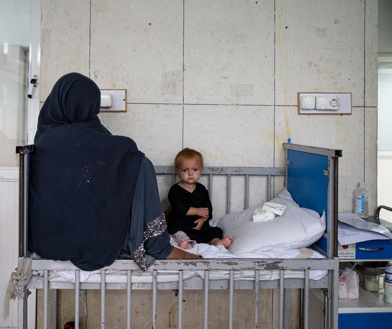 In Afghanistan is iedereen de wanhoop nabij, ook de Taliban: ‘De wereld ...