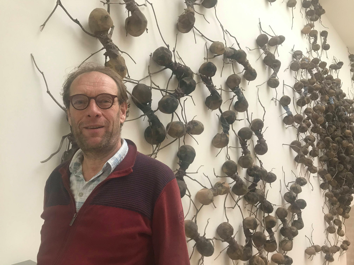 Insecten als voedsel: hoe leren we lief te zijn voor de meelworm ...