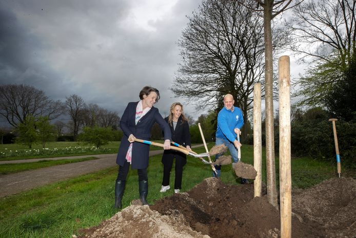Cadeau van ASML en Trees for All: eerste van 4000 nieuwe bomen geplant ...