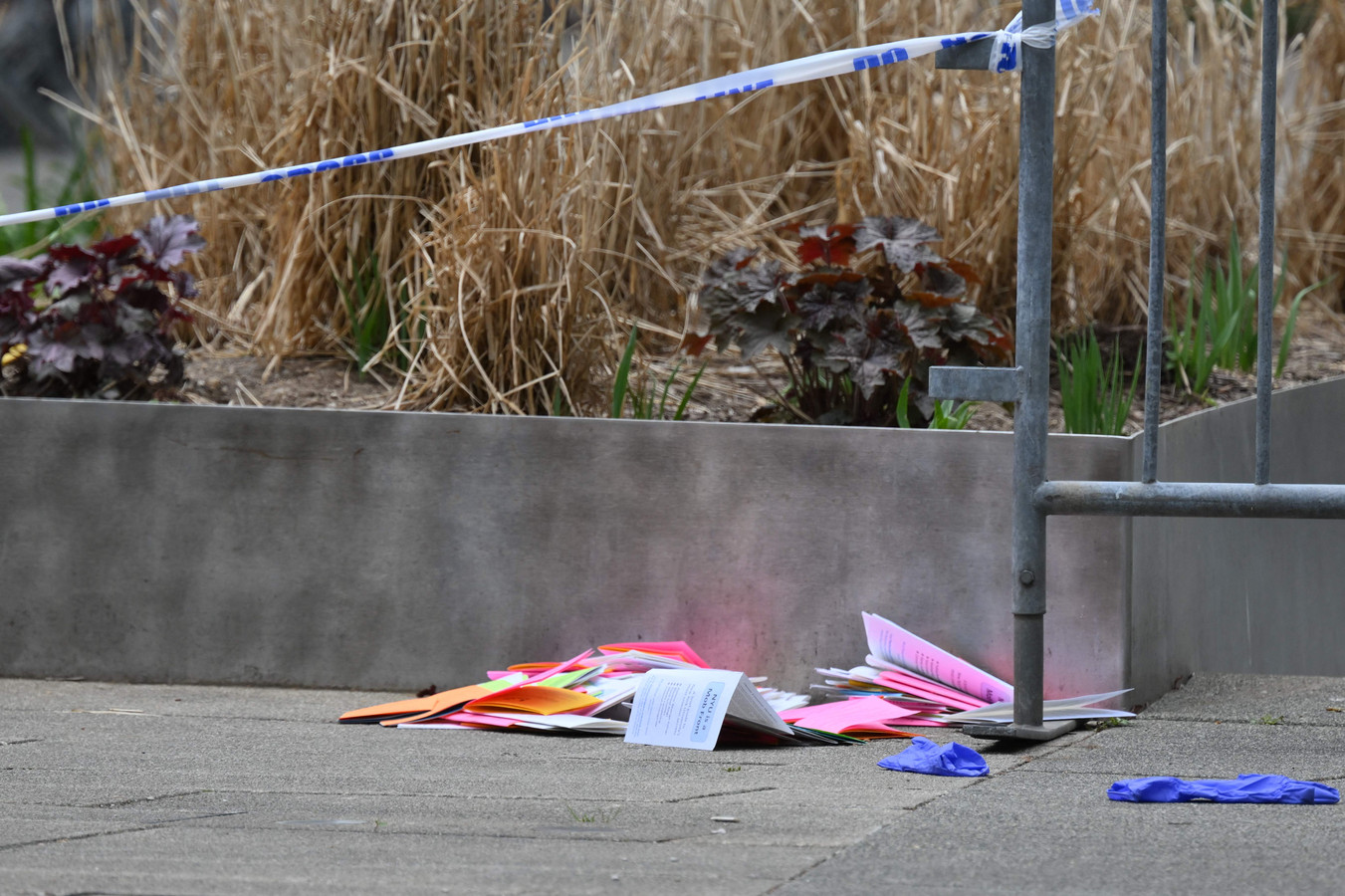 PORTRET. Complottheorieën en vergelijking met Lisa Simpson: waarom stak ...