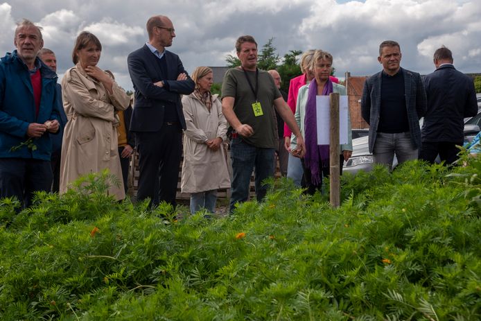 Boerenbond voorzitter Lode Ceyssens te gast bij rozenkweker Van Sante ...