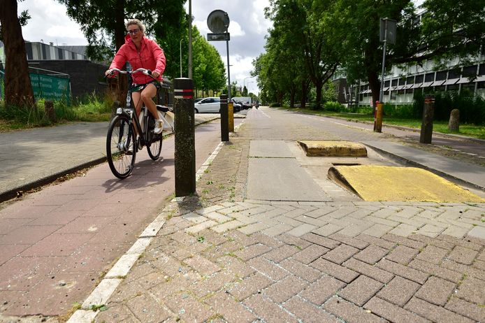 ‘Onwijze knal’ en ruit aan diggelen: automobilisten rijden hun auto ...