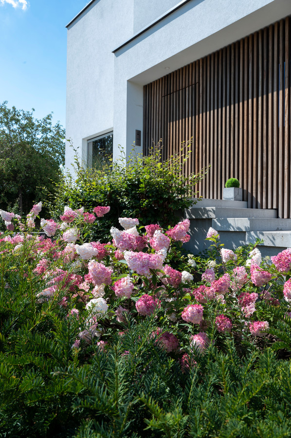 BINNENKIJKEN. Voormalig ‘Temptation’-deelnemer Tim De Pril gaat voor ...