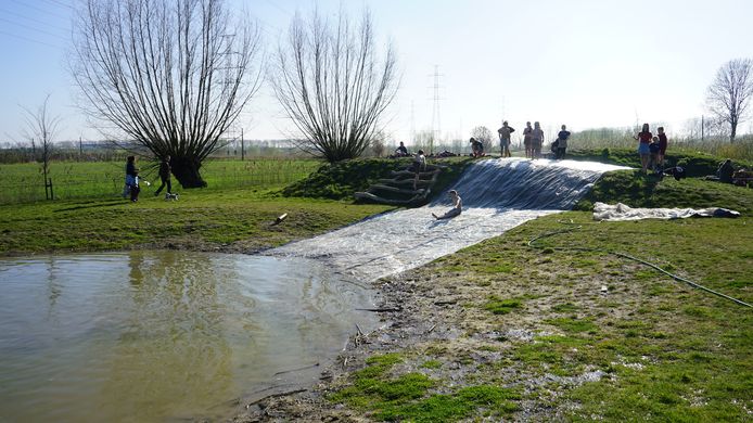 Groenplan Kallo feestelijk ingehuldigd: 1,5 hectare nieuwe speelnatuur ...