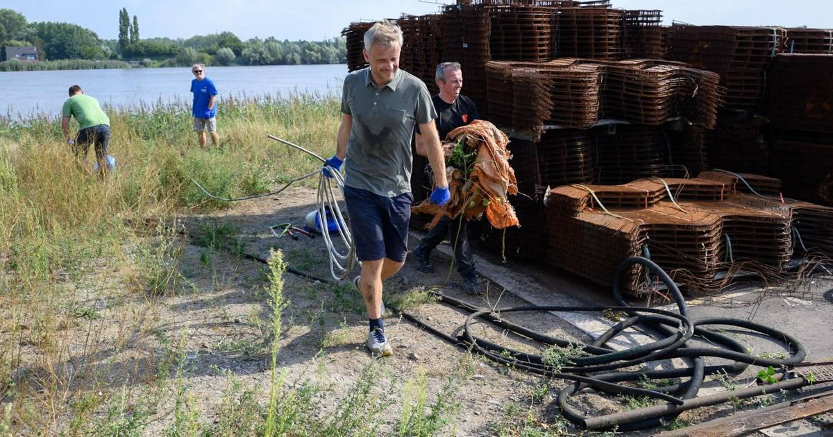 240 kilogram afval verzameld tijdens River Cleanup bij Cordeel | Temse ...
