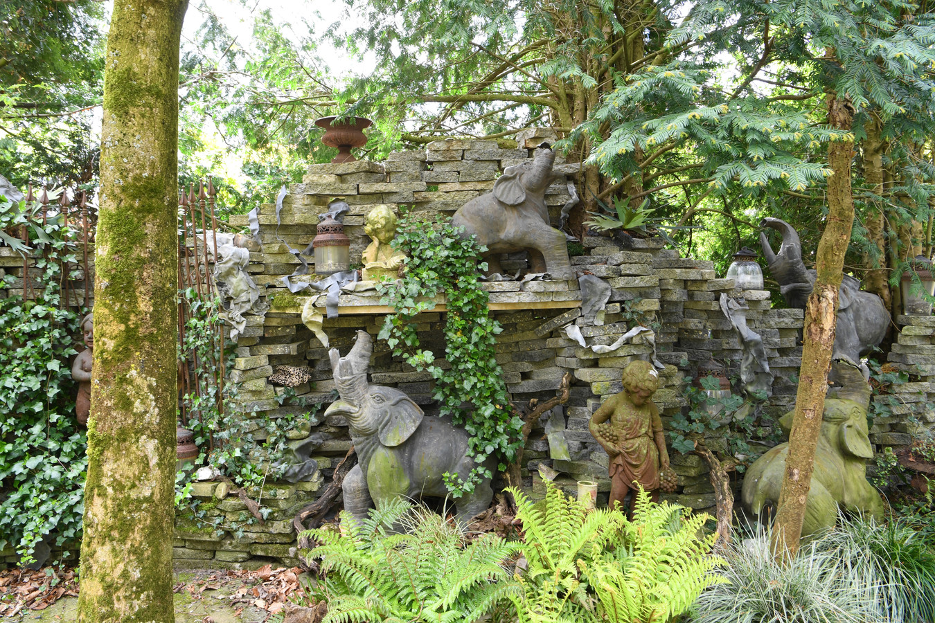 Koos en Roos kochten een bouwval die al twee jaar te koop stond | Foto ...