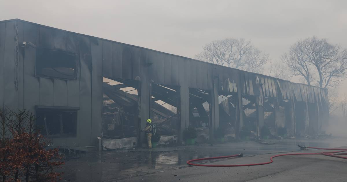 Busbedrijf volledig in de as gelegd bij zware brand: vijftien bussen en enkele wagens volledig ...