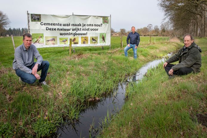 Omwonenden vrezen ambitieuze bouwplannen in Brummen: ‘Dat kun je je ...