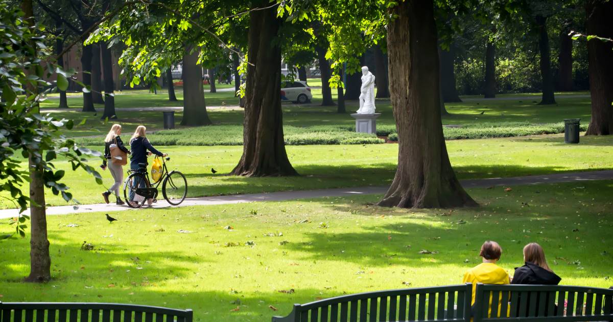 Breda in de bres voor bijen: onderzoek naar nog minder grasmaaien in ...