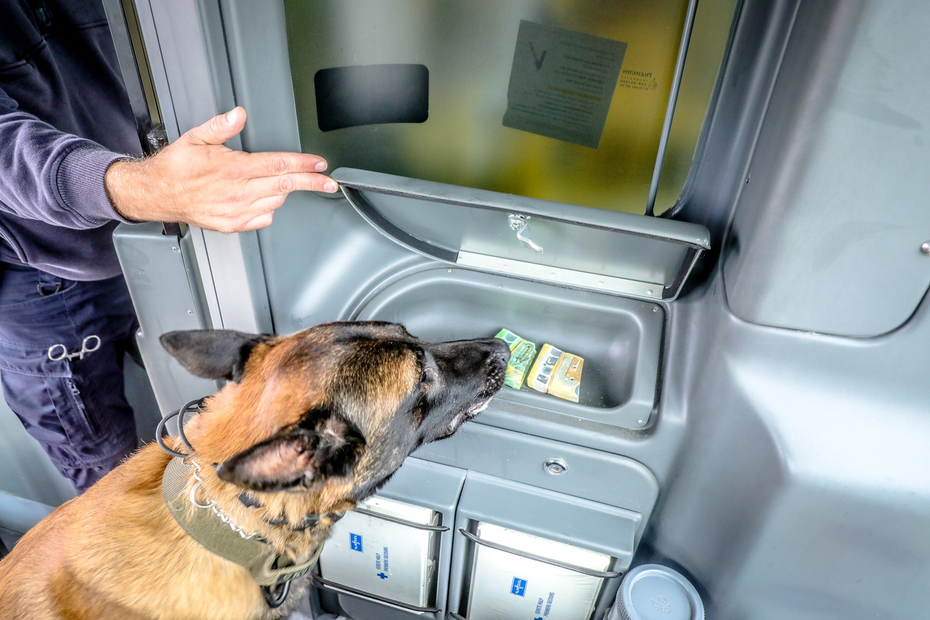 REPORTAGE. Op pad met de West-Vlaamse politiehonden: “Cash geld vinden ...