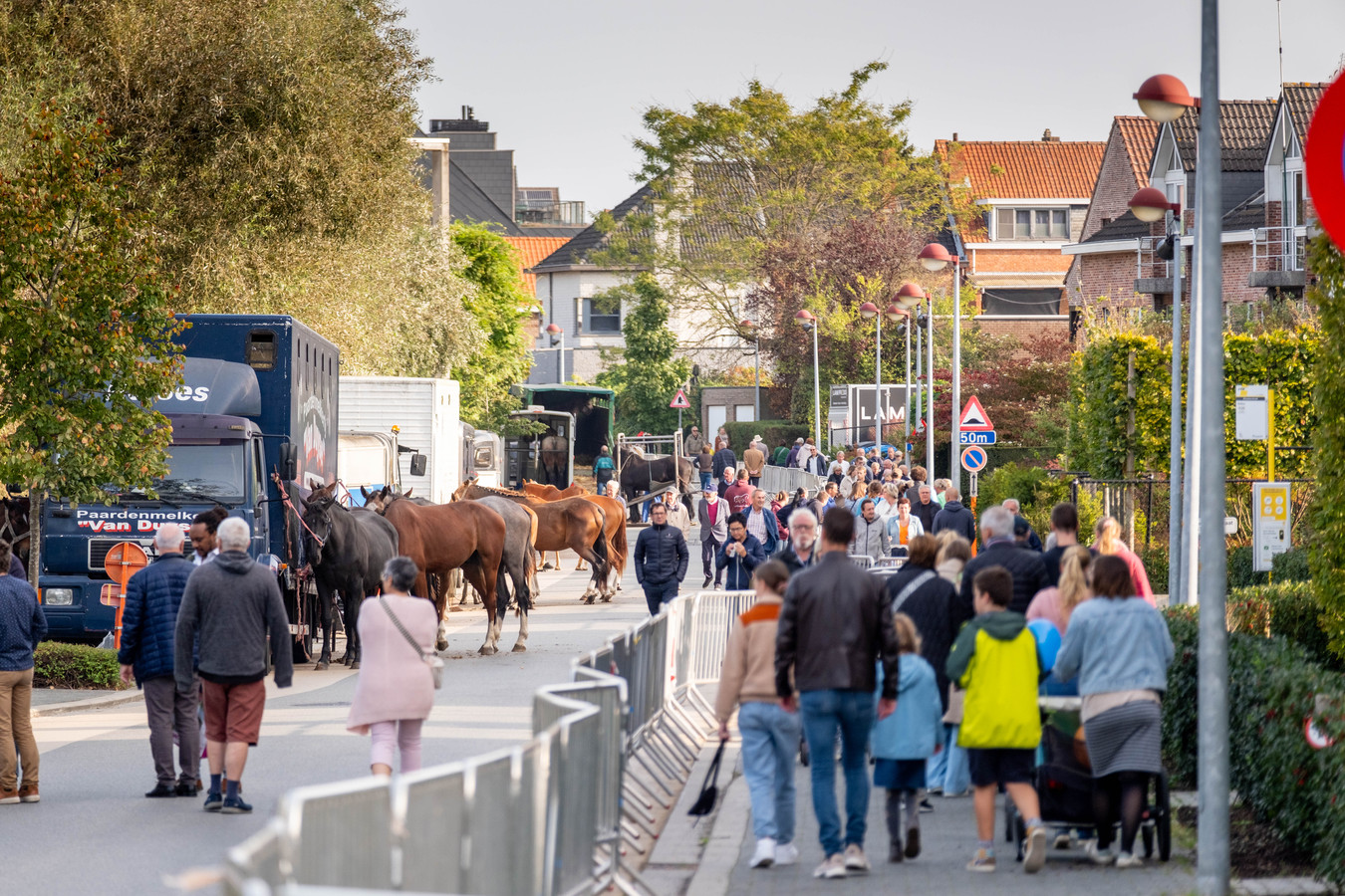 FOTOREEKS Traditionele jaarmarkt palmt Bornemse straten in | Foto | hln.be