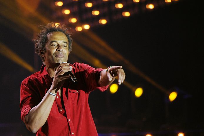 Yannick Noah revient à la chanson | Musique | 7sur7.be
