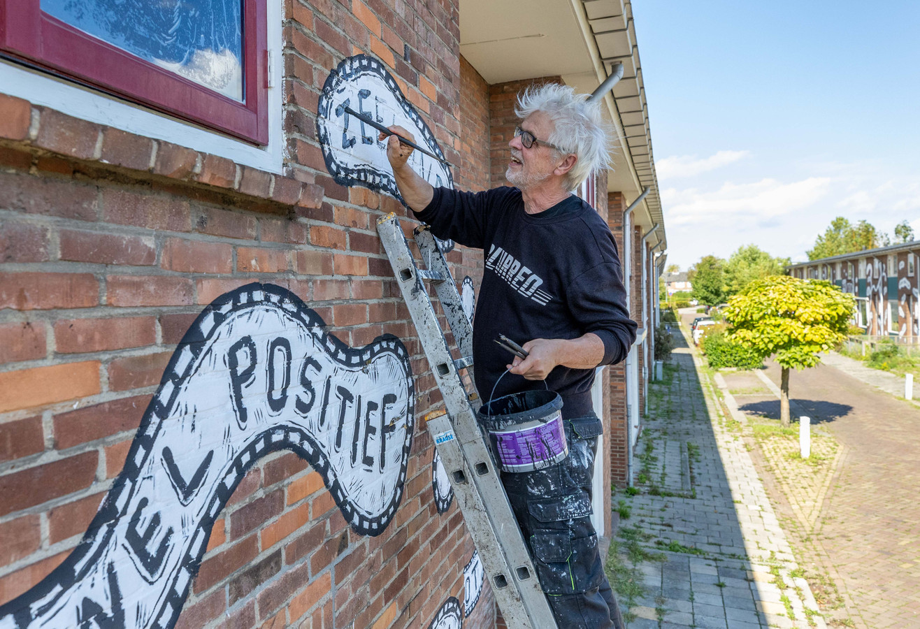 Deze sloopwijk in Goes-Oost heeft vrolijke beschilderde gevels en telt ...