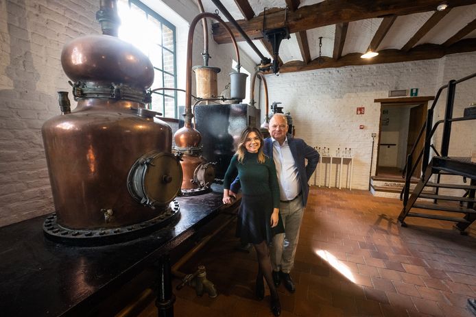 Hasseltse musea hebben topjaar achter de rug: jarig Jenevermuseum ...