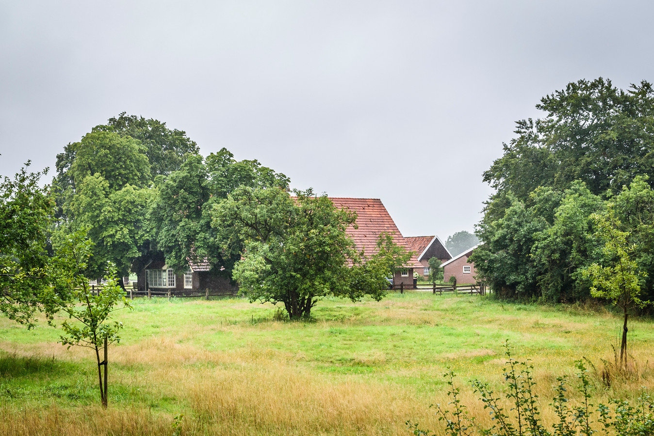 Kees wil een landgoed van 2,6 miljoen euro kopen, maar een stom foutje ...
