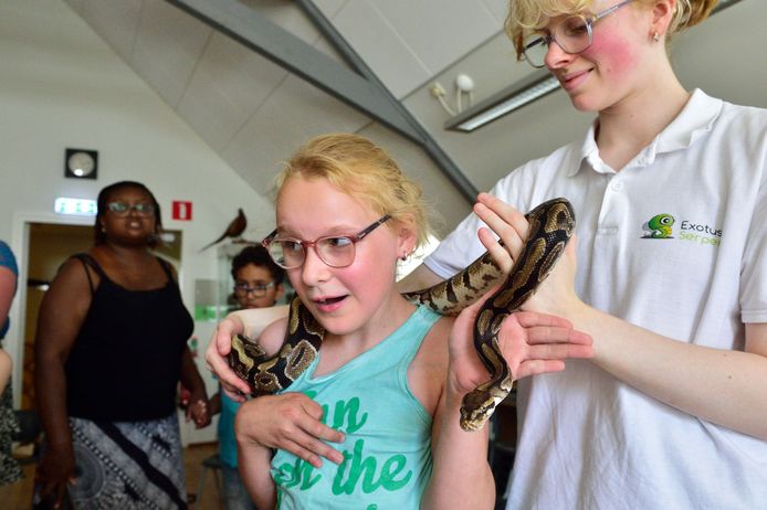 Een koningspython om je nek? Cealan (4) en Anouk (10) durfden het aan | Gouda | AD.nl