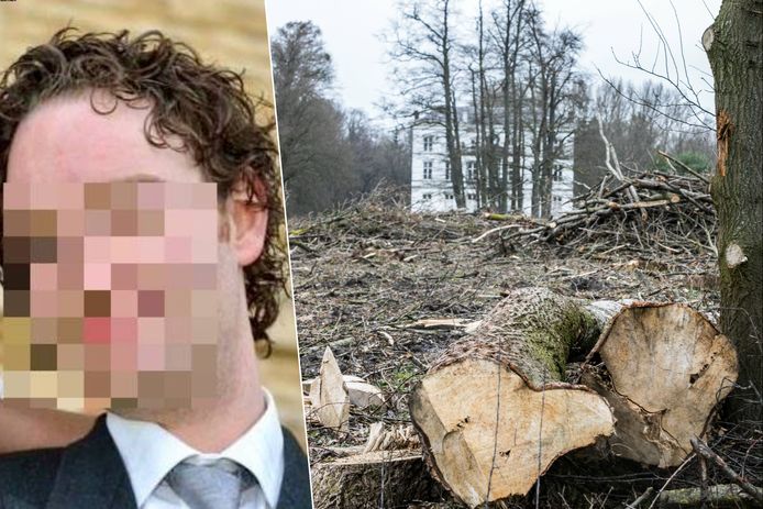 Huisjesmelker Manu Appeltans blijft ook illegaal bomen kappen: “Dit ...