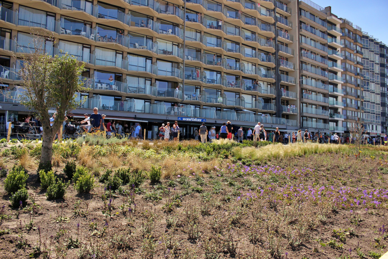 Vernieuwde Zeedijk in Westende officieel geopend: “Geen reuzenrad, maar ...