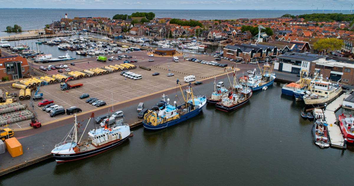 Kaalslag dreigt voor visserij op Urk na miljoenenverlies | Urk ...
