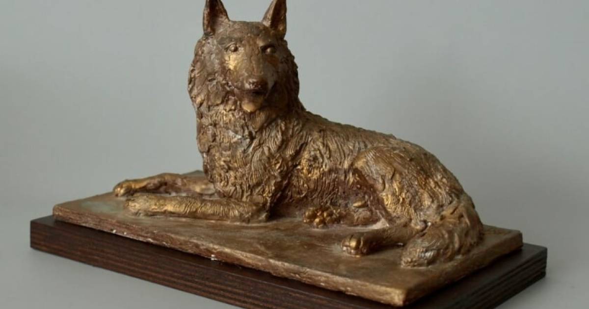 Hond Max wachtte dagen op zijn baasjes na deportatie, nu komt er een ...