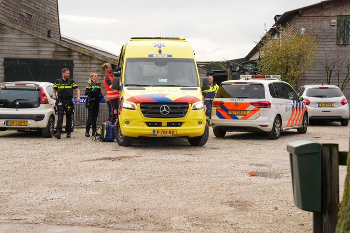Ruiter gewond bij val van paard op manege in De Mortel | De Peel | ed.nl