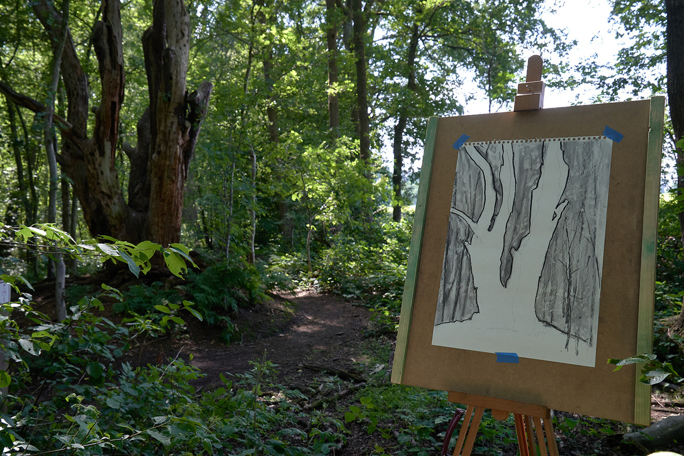 Fotograaf en beeldend kunstenaar met een passie voor natuur en tekenen ...