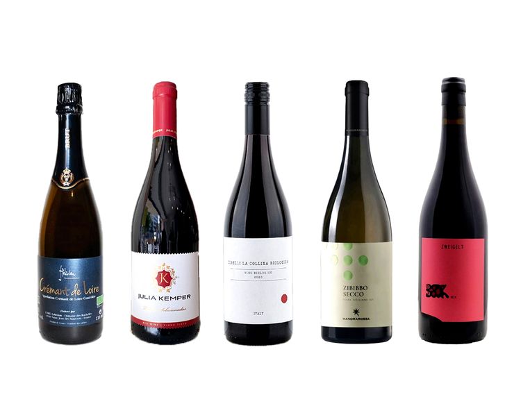 5 betaalbare biowijnen, aangeraden door een sommelier | De Morgen
