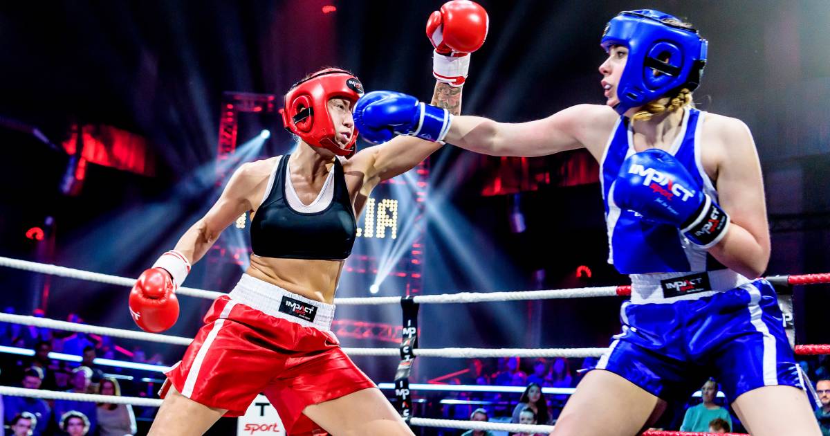 Tv-recensie: 'Boxing Stars' (VTM)★★☆☆☆ | Showbizz | hln.be