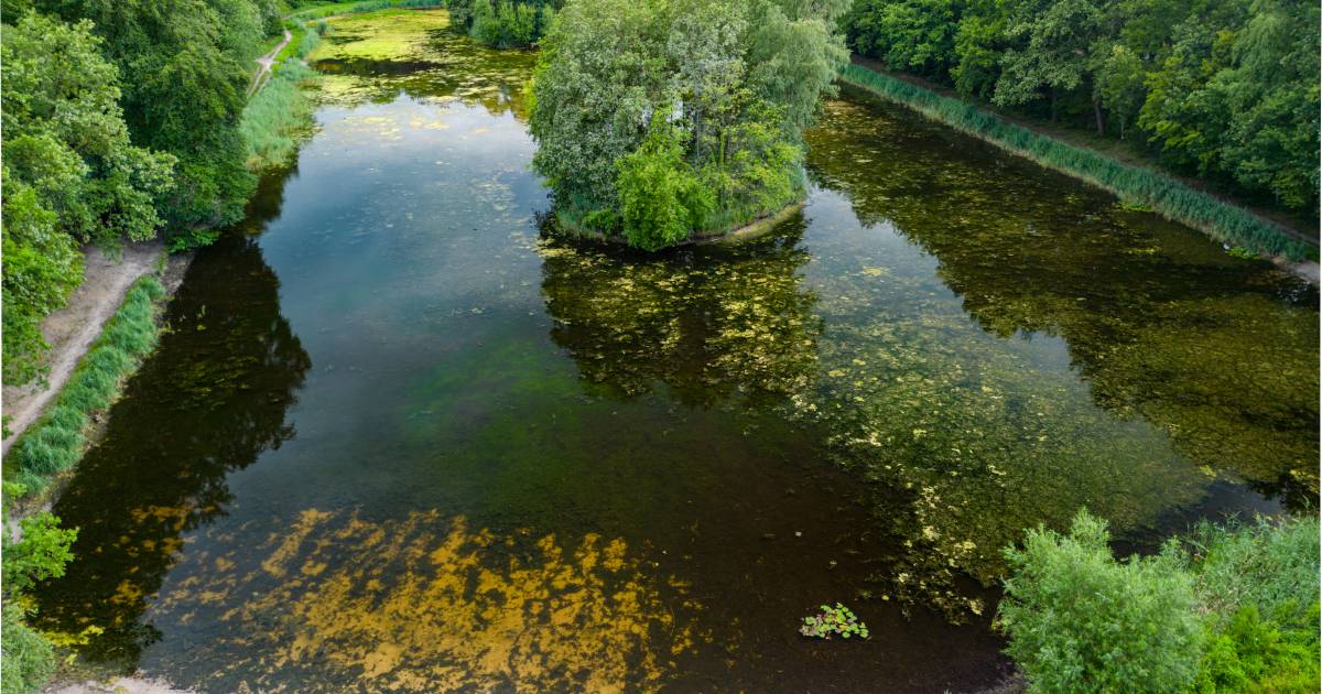 Water Biltsche Meertje dramatisch laag door kapotte pomp, vrees voor ...
