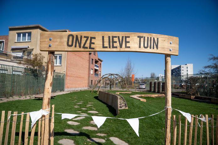 OLVI Boom opent groenzone op campus Brandstraat: “Met goedkeuring van ...