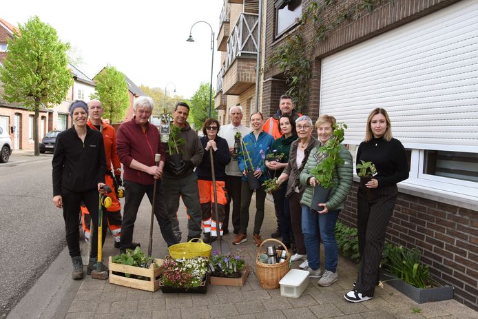 Zandstraat in Balen wordt een echte tuinstraat | Balen | hln.be