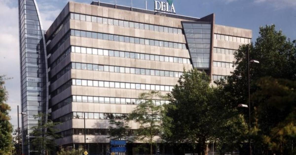 Dela uit Eindhoven neemt concurrent Yarden over | Economie | ed.nl