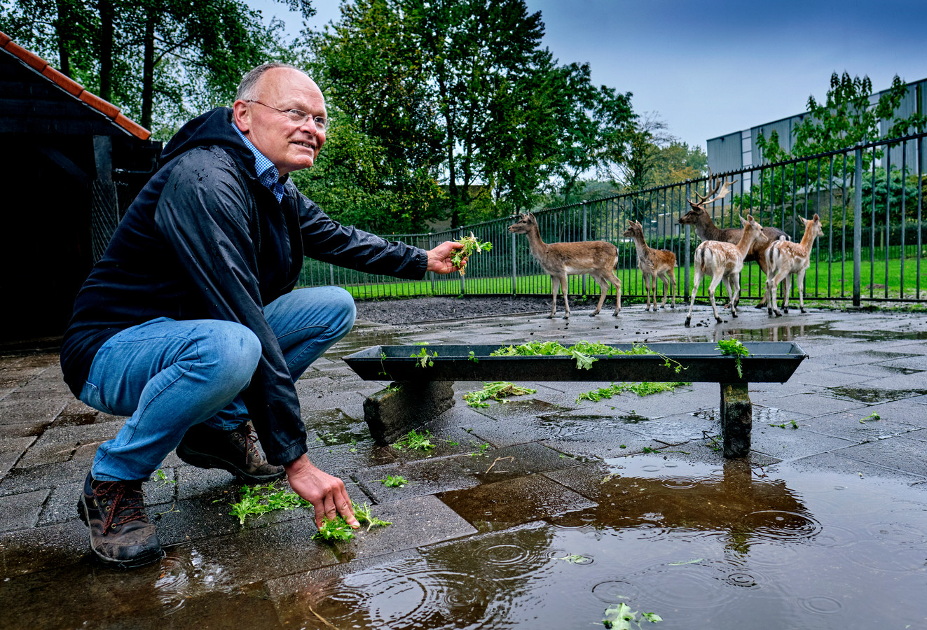 Zwijndrechtse kinderboerderij wordt eindelijk mooi: ‘Nu nog een ...
