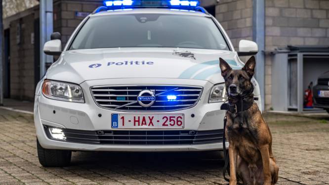 Zemst | hln.be