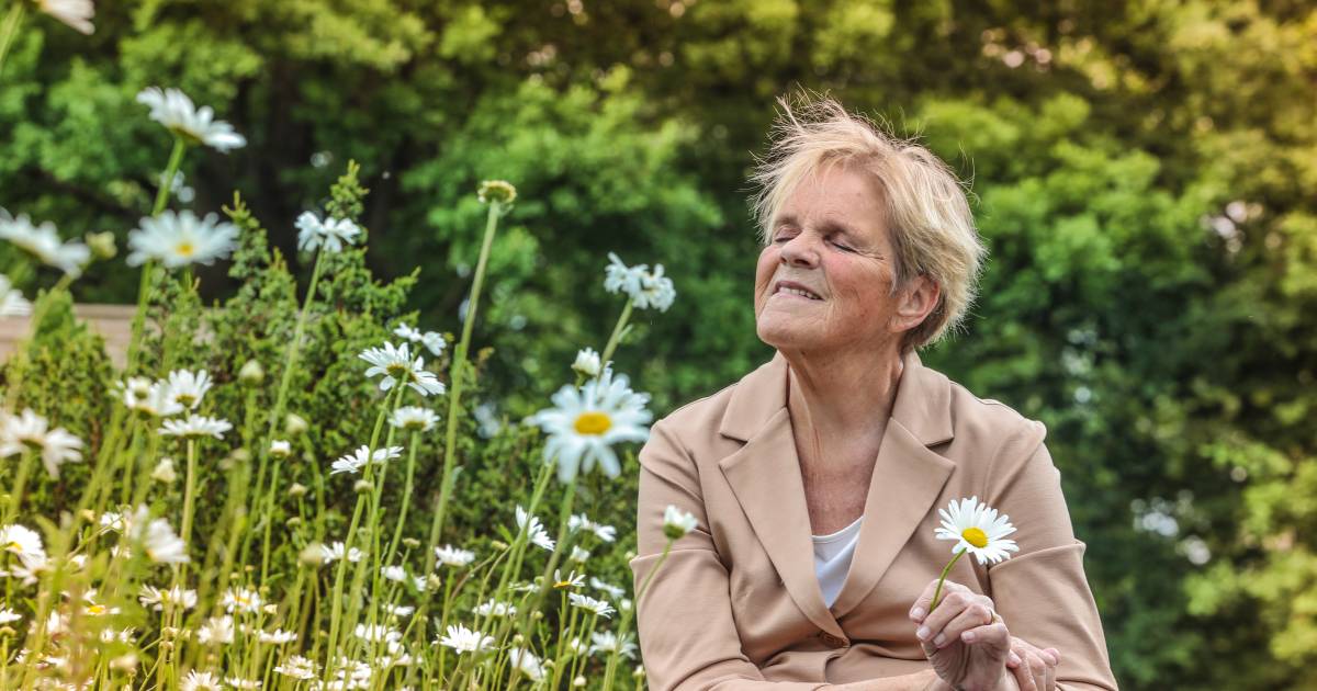 Margriet Hermans lanceert na 17 jaar nieuw album: “Met de politiek heb ...