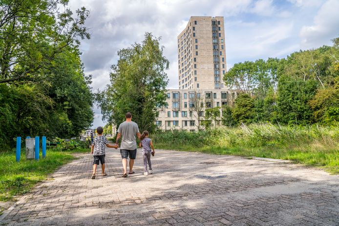 Boosheid om bouw woontoren in groen pal naast Pauwmolenflat: ‘Puurste ...