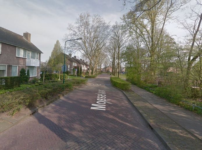 Drie ton voor aanpak boomrijke straten in Rijen die met wortelproblemen ...