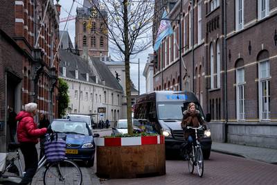 Uden krijgt groener centrum dankzij vijftien nieuwe ‘boombakken’ - Oozo.nl