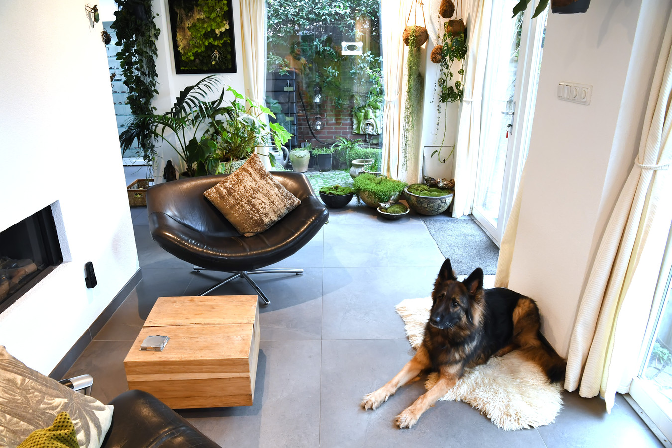 Een atelier in het huis van de buren, vol met bustes en portretten van ...