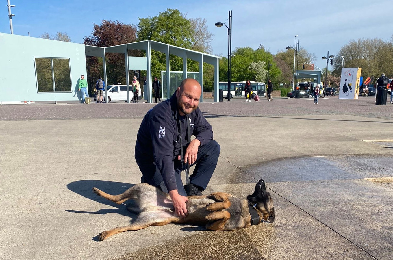 Overlijden politiehond Thor dompelt korps in diepe rouw: “Hij leek ...