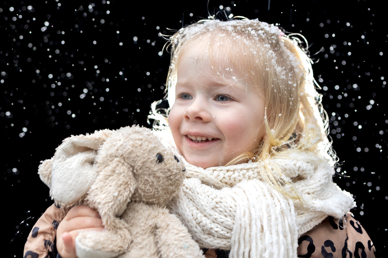 Sprookjesachtig mooi: sneeuw in Twente en de Achterhoek | Foto ...