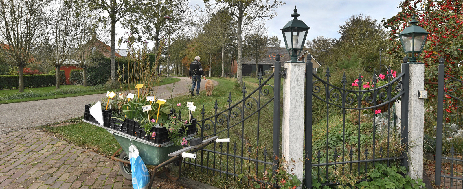 Molembaix: ‘Het voelt hier als een warm bad’ | Foto | pzc.nl
